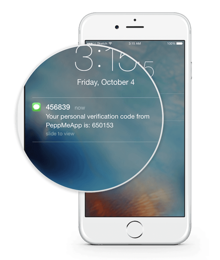 How to use Two Factor Authentication with SMS? - Sinch Community - 7420